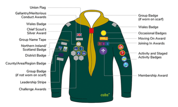 Badge Placements - Biggleswade District Scouts